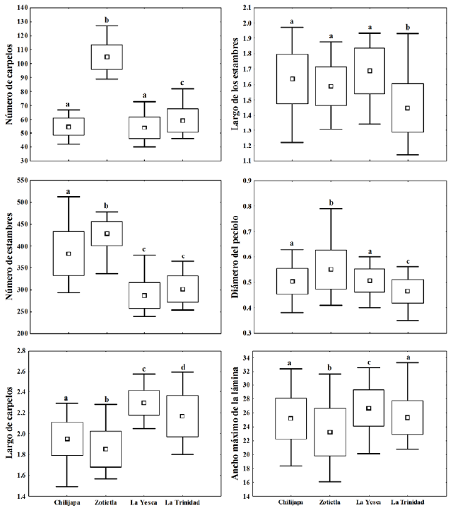 Diferenciación morfológica poblacional de Magnolia rzedowskiana ...