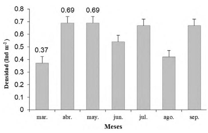Aspectos poblacionales de Encope michelini (Clypeasteroida: Mellitidae ...