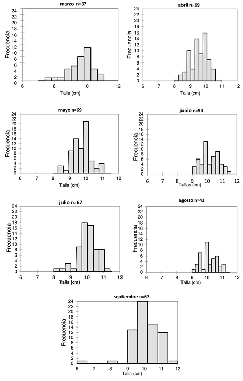 Aspectos poblacionales de Encope michelini (Clypeasteroida: Mellitidae ...