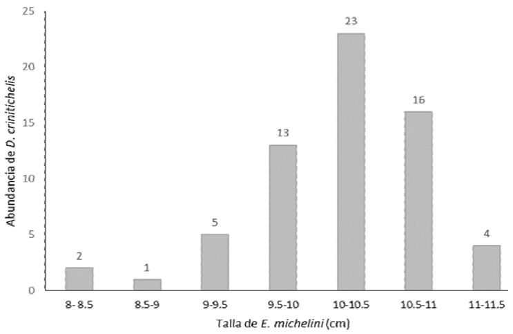 Aspectos poblacionales de Encope michelini (Clypeasteroida: Mellitidae ...