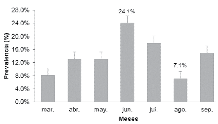 Aspectos poblacionales de Encope michelini (Clypeasteroida: Mellitidae ...