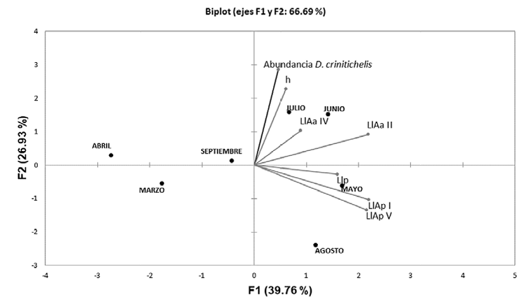 Aspectos poblacionales de Encope michelini (Clypeasteroida: Mellitidae ...