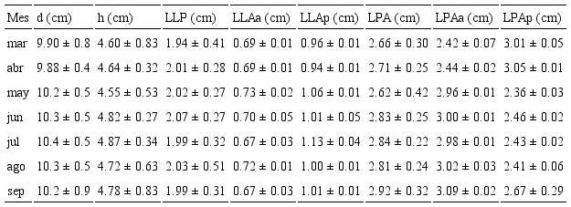 Aspectos poblacionales de Encope michelini (Clypeasteroida: Mellitidae ...