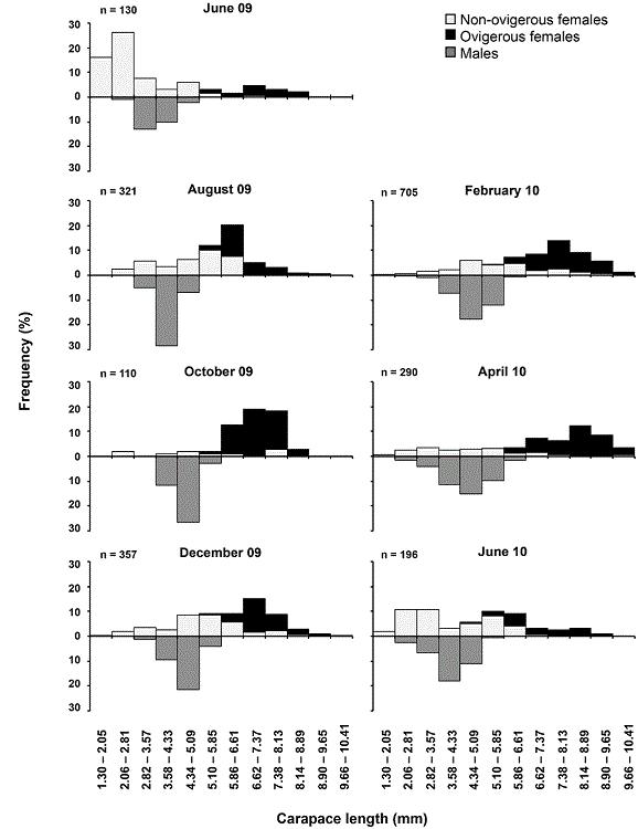 Population traits and reproduction of the hippolytid shrimp Tozeuma ...