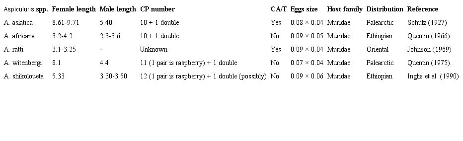 Aspiculuris mexicana n. sp. (Nematoda: Heteroxynematidae) parasite of ...