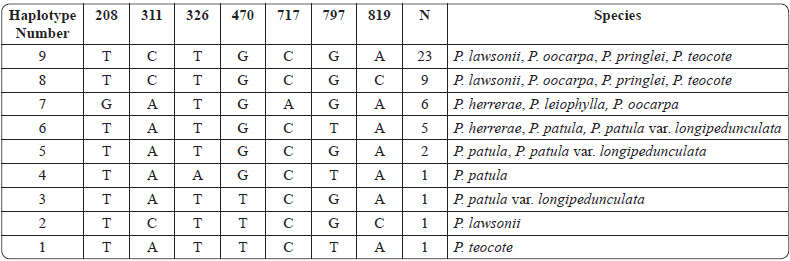 Species diversity and plastid dna haplotype distributions of Pinus ...