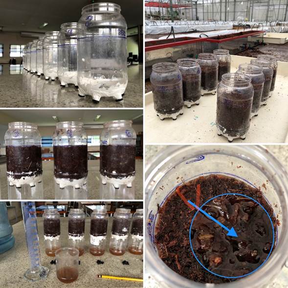 Evaluación de metodologías para determinar las características físicas ...
