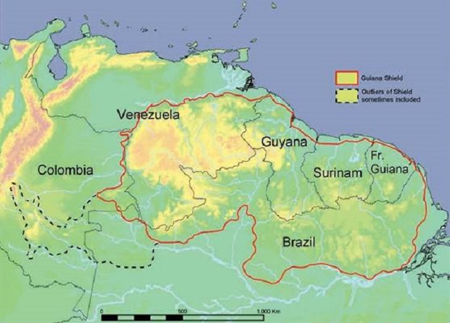 Rudolf Schlechter’s South-American orchids III. Schlechter’s “network ...
