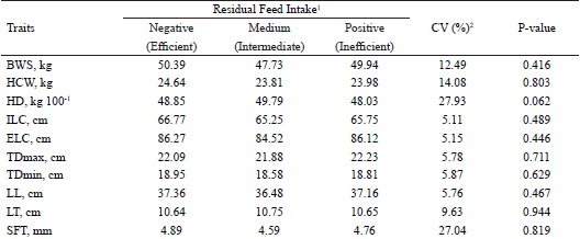 Performance, carcass traits, and non-carcass components of feedlot ...