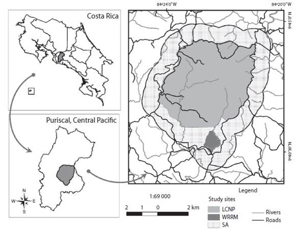 Is forest cover conserved and restored by protected areas?: The case of ...
