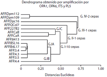 Caracterización morfológica y molecular de una colección de ...