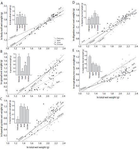 Gametogenesis and weight change of body organs of the sea cucumber ...