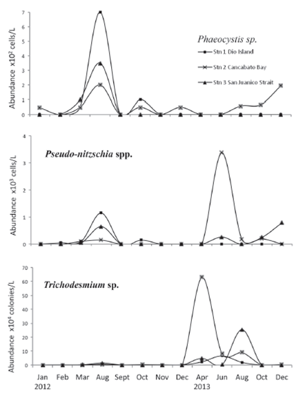 Bloom of Trichodesmium (Oscillatoriales, Phormidiaceae) and seasonality ...