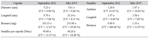 Viabilidad y germinación de semillas de Hechtia perotensis (Bromeliaceae)