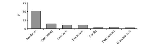 Abundance and microhabitat use by the frog Platymantis hazelae (Anura ...