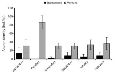 Abundance and microhabitat use by the frog Platymantis hazelae (Anura ...