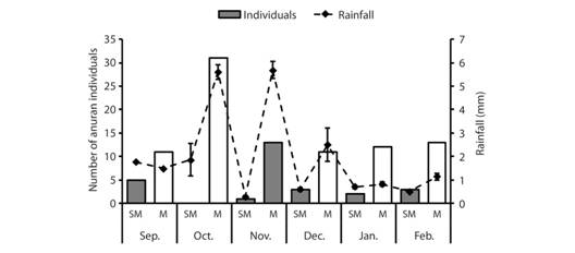 Abundance and microhabitat use by the frog Platymantis hazelae (Anura ...