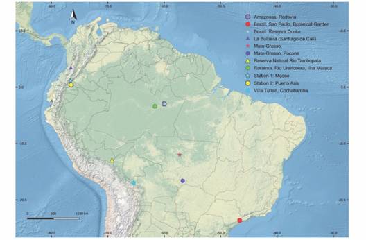 Diversity and vertical distribution of psocids (Psocodea: Psocoptera ...