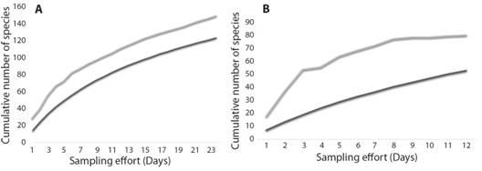 Diversity and vertical distribution of psocids (Psocodea: Psocoptera ...