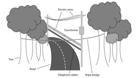 Effectiveness of aerial wildlife crossings: Do wildlife use rope ...