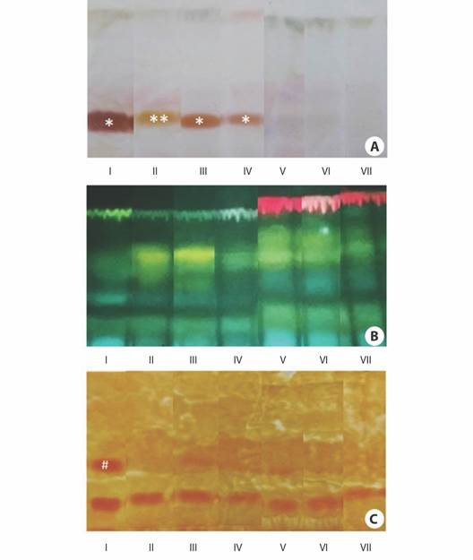 Reserve mobilization and secondary metabolites during seed germination ...