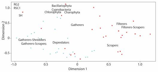 Effects of environmental stability and phycoperiphyton structure on the ...