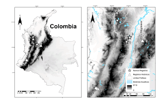NUEVOS REGISTROS DE LA RATA CANGREJERA Ichthyomys hydrobates (WINGE ...
