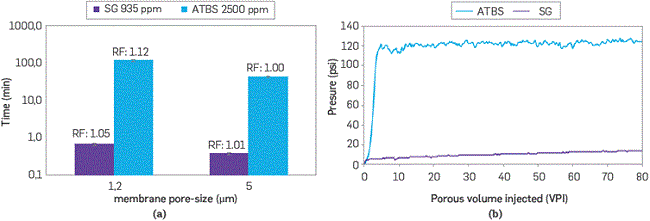 HEAVY OIL AND HIGH-TEMPERATURE POLYMER EOR APPLICATIONS