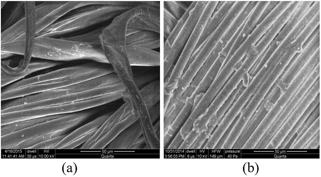 Fabrication of poly(lactic acid) incorporated chitosan nanocomposites ...