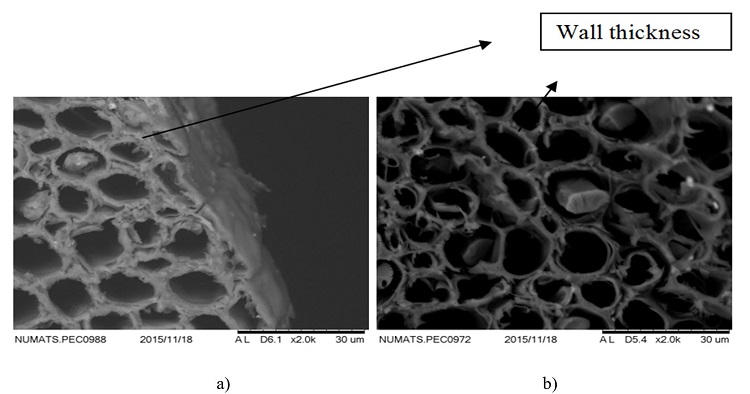 Effects of mercerization in the chemical and morphological properties ...