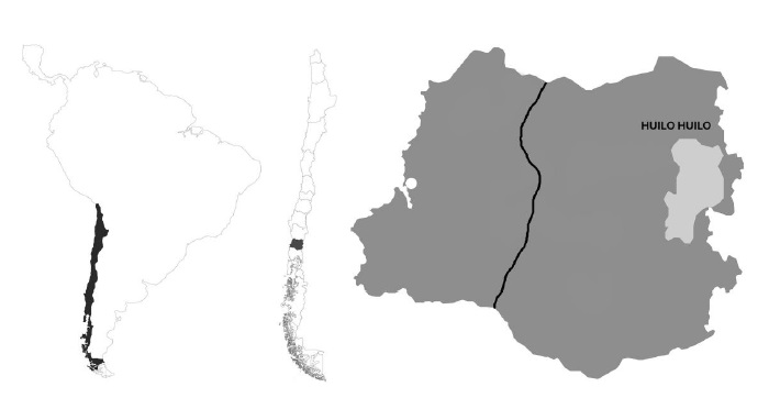 Visiting Southern Forests: Architectural Imagery and Local Challenges ...