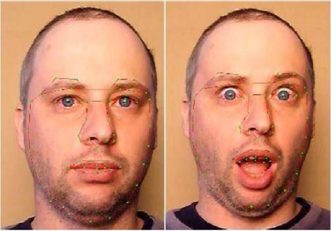 A low cost framework for real-time marker based 3-D human expression modeling