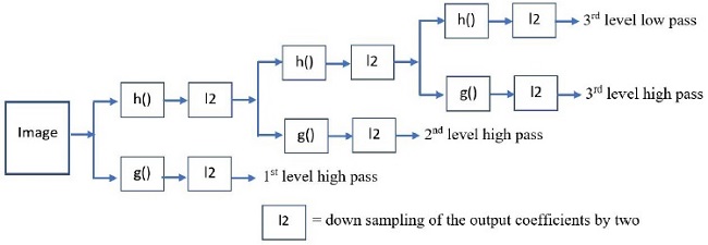 Combination of morphology, wavelet and convex Hull features in classification of patchouli ...