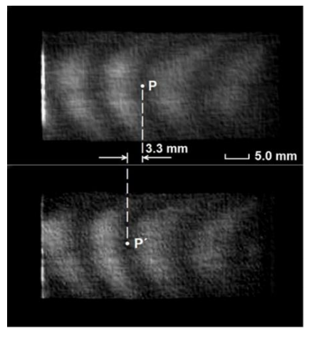 Vibration measurement by projection of phase-modulated and amplitude ...