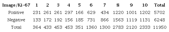 Automated Quantification of Ki-67 on Gastric Epithelial Tissue based on ...