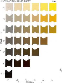 The Transformation of RGB Images to Munsell Soil-Color Charts