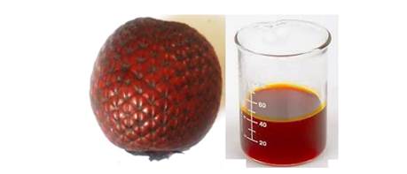 EFECTO DE LA TEMPERATURA PREVIA A LA EXTRACCIÓN EN EL RENDIMIENTO Y ...