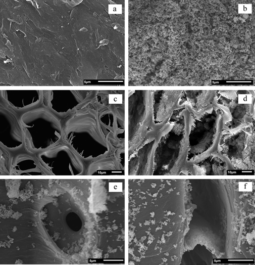 Microwave-assisted solvothermal: An efficient and new method to obtain hydrophobic wood surfaces