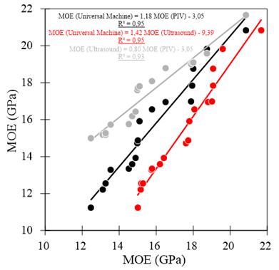 Particle image velocimetry technique and ultrasound method to obtain the modulus of elasticity ...