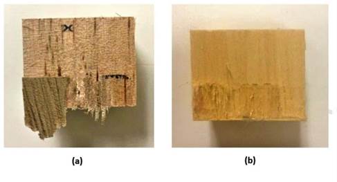 Shear strength and hardness of two tropical wood species as function of ...