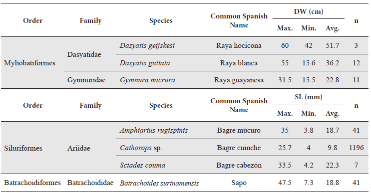 Benthic fish community structure in the Orinoco River Delta and Gulf of ...