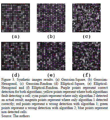 Automated detection of photoreceptors in in-vivo retinal images