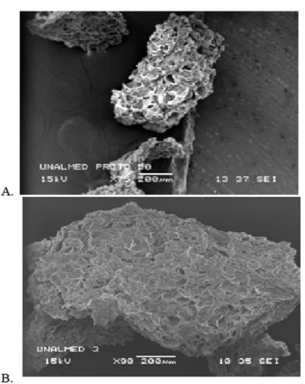 Protopectinase-se from Geotrichum klebahnii: Studies of the adsorption ...