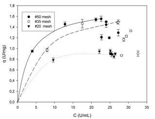 Protopectinase-se from Geotrichum klebahnii: Studies of the adsorption ...
