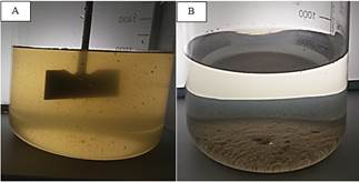 Clarification of the water of wetlands using a mixture of natural ...