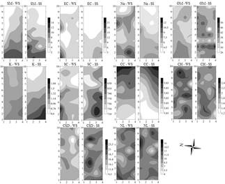 Soil and crop spatial variability in maize irrigated with domestic effluent