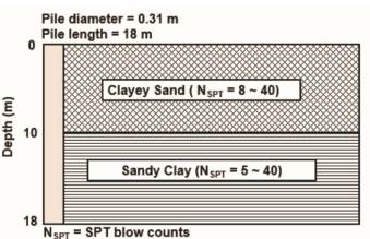 Performance control of root piles using a digital odometer