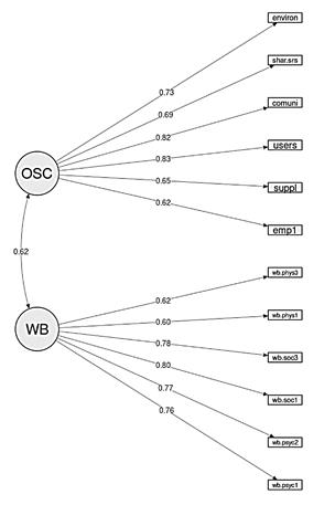 Organizational social commitment and employee well-being: illustrating ...