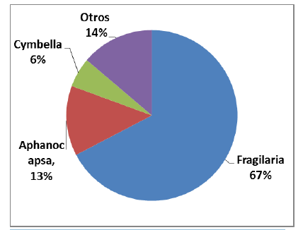Interacciones Tróficas de la Ictiofauna en el embalse Macua (Primavera ...