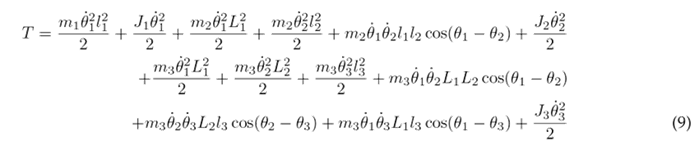 Dynamic Model of Lower Limb Motion in the Sagittal Plane during the Gait Cycle